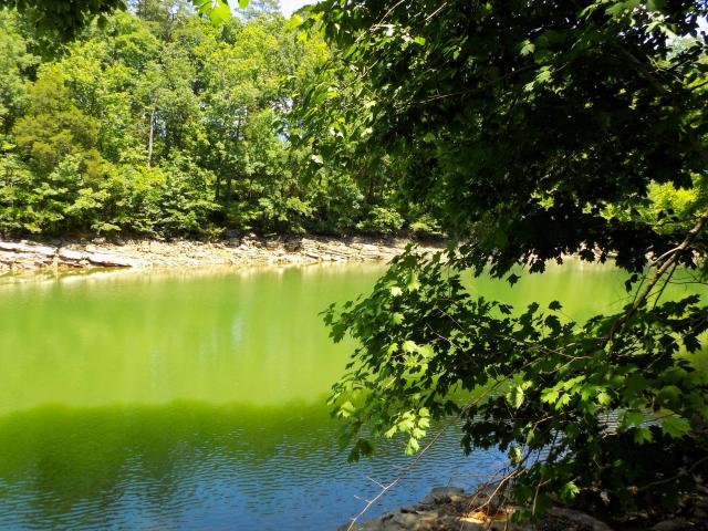 Lot 13 Shorewood Point