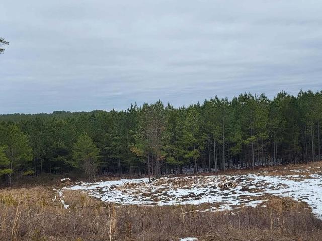 Lot 13 Stirrup Lane, Jamestown, TN 38556
