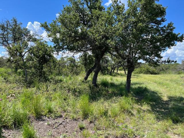 Lot 13 Sweet Wind Ln, Unit 13, Harper, TX 78631 | MLS #104105