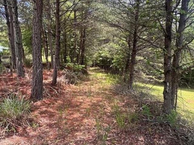 Lot 13 Porter Pl Lots 13 & 14, Blairsville, GA 30512