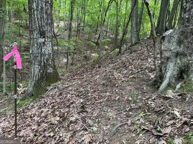 Lot 13 Picklesimer Mountain Rd, Morganton, GA 30560 MLS 1035.