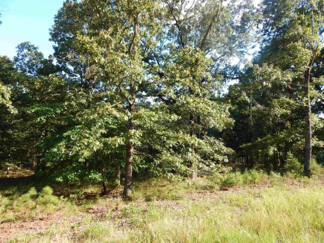 Lot 13 Quail Hollow Cove