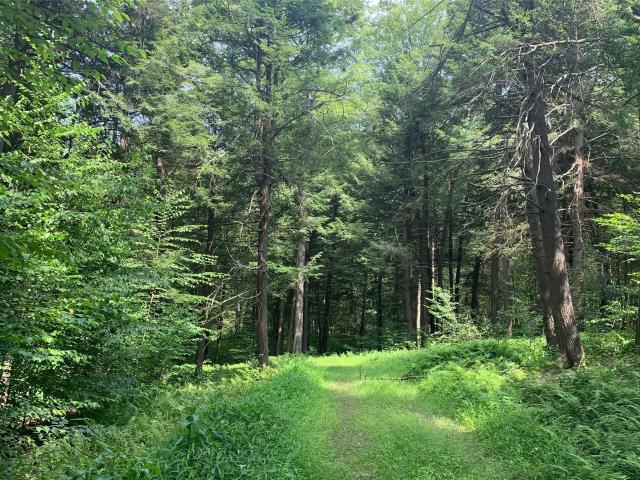 Lot 13 Woodstone Trail, Bethel, NY 12720 | MLS #887950 | Compass