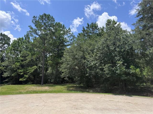 Lot 13 Windermere Oaks West