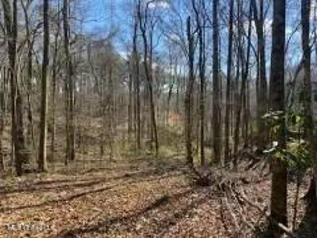 Lot 13 Turkey Creek Rd, Natchez, MS 39120 | MLS #4141