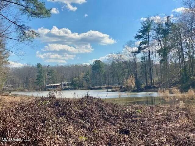 Lot 13 Turkey Creek Road