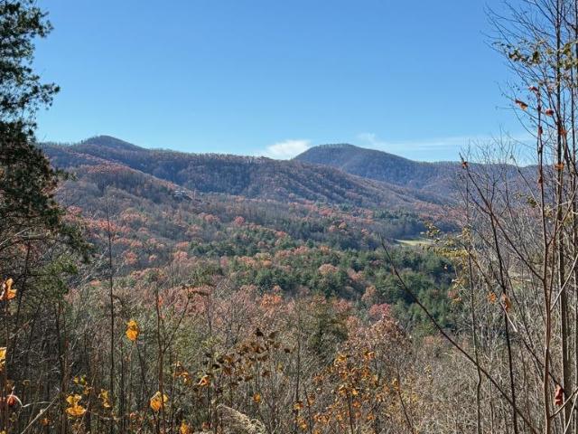 Lot 13 View Ridge Trail # 13