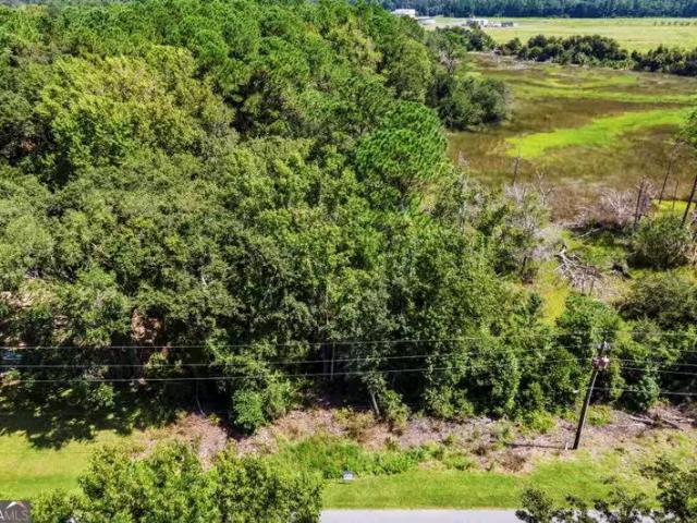 Lot 13B Dufour Rd, Saint Marys, GA 31558 MLS 10356610