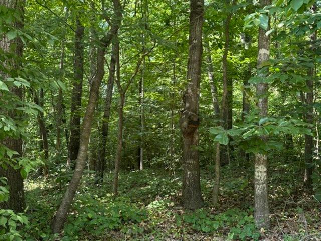 LOT 144 Lewis Drive