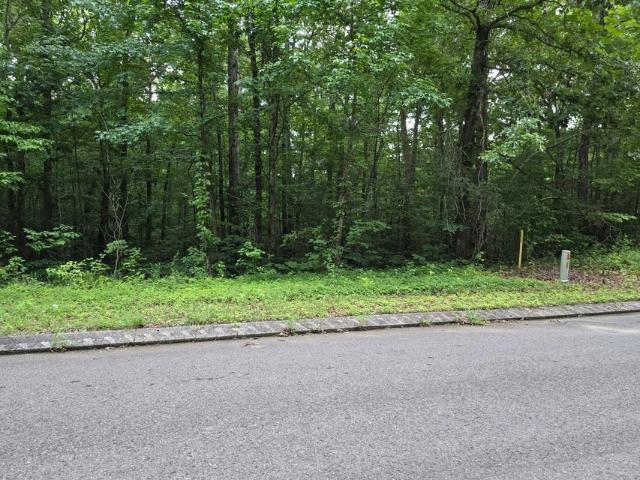 Lot 144 Lower Brow Road
