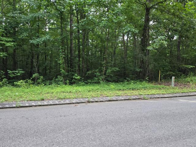 Lot 144 Lower Brow Road