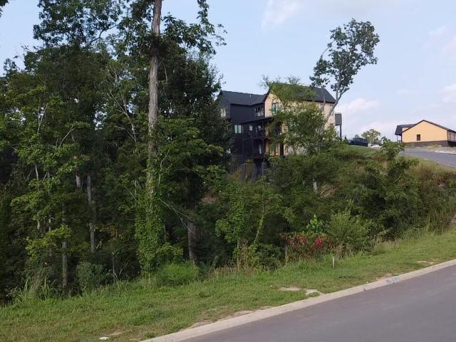 Lot 144 Reedmont Way