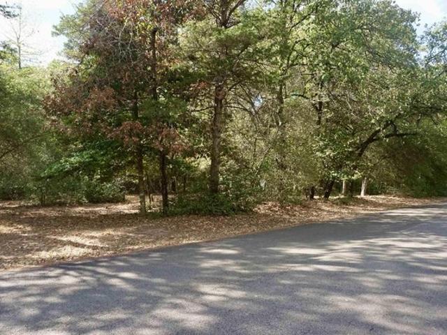 Lot 146, Holly Lake Ranch, TX 75765