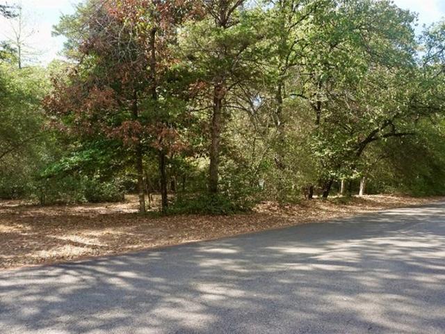 Lot 146, Holly Lake Ranch, TX 75765