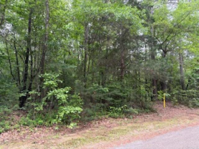 Lot 146 Pin Oak