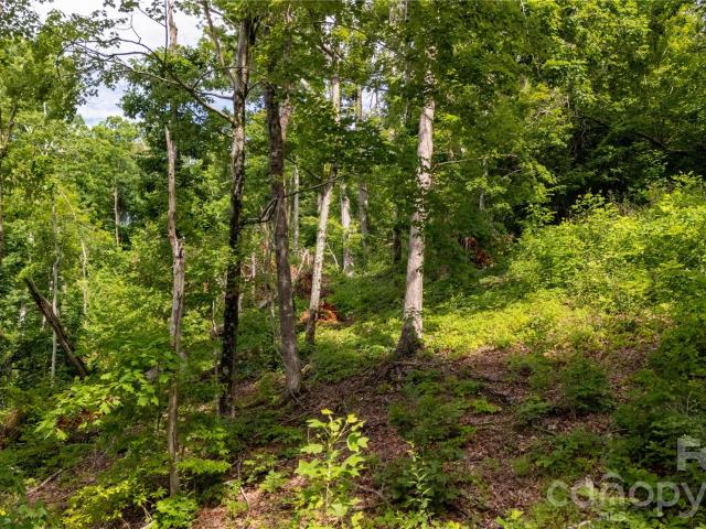 Lot 146 Shire Lane # 146