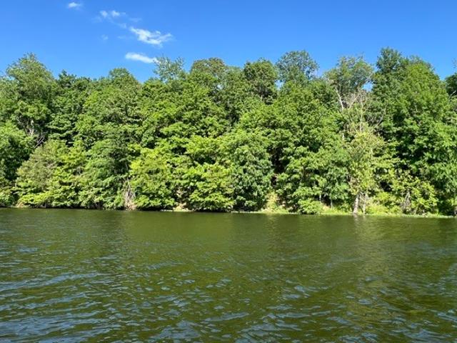 Lot 147 Parrish Ridge