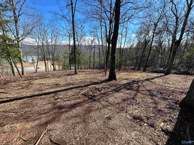 Lot 149 Lookout Mountain Drive
