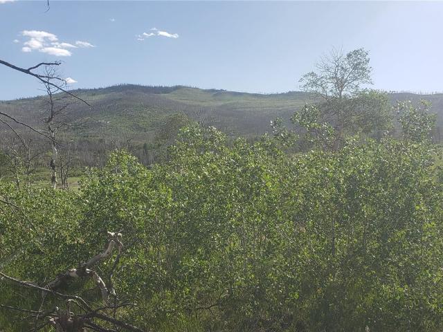 Lot 1406 Emery Loop