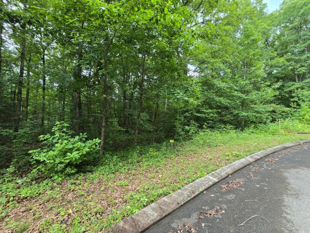 Lot 141 Lower Brow Road
