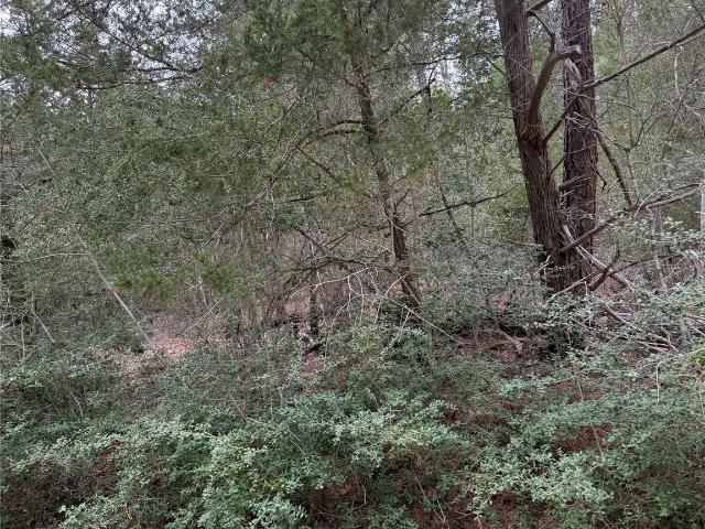 Lot 1428 Keeau Ct