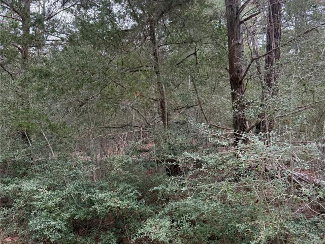 Lot 1428 Keeau Ct, Bastrop, TX 78602 | MLS #4091