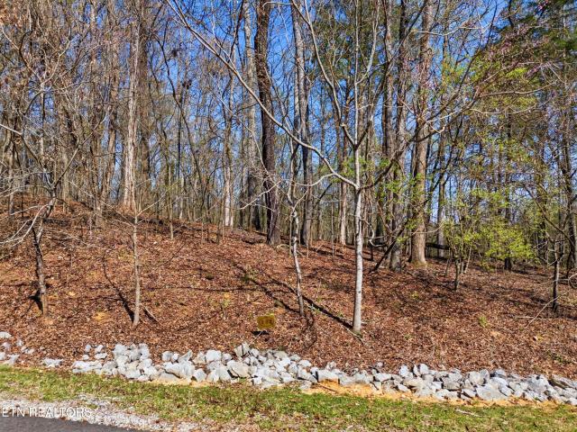 Lot 142 E Shore Drive, Rockwood, TN 37854
