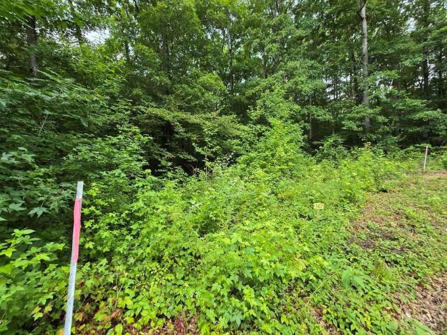 Lot 142 Lower Brow Road