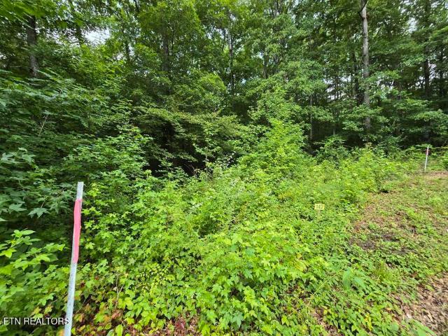 Lot 142 Lower Brow Rd, Dunlap, TN 37327