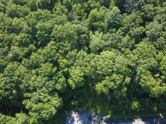 Lot 142 Wedgewood Drive