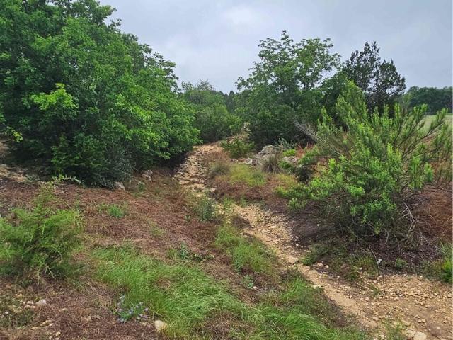 LOT 14 Cielo Springs Drive