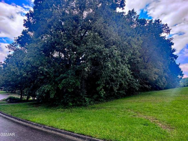 Lot 14 Boxwood Lane