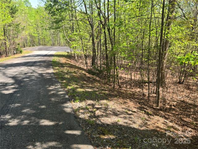 Lot 14 Back Hollow Dr, Lake Lure, NC 28746 | MLS #4249 | Compass