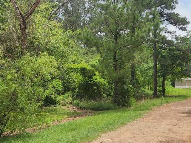 Lot 14 Basswood Lane