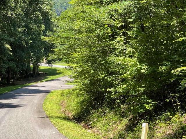 LOT 14 Big Cove Drive