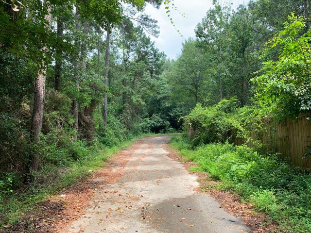 Lot 14 Bluebonnet Street