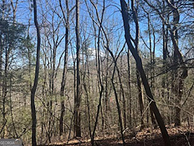 LOT 14 Butler Creek Road