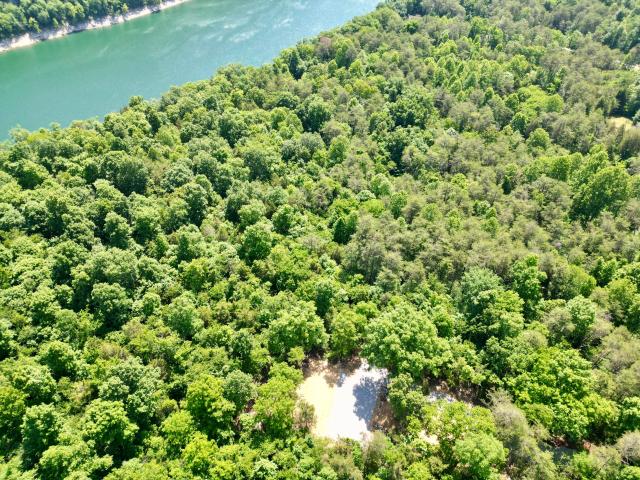 Lot 14 Buck Tail Drive