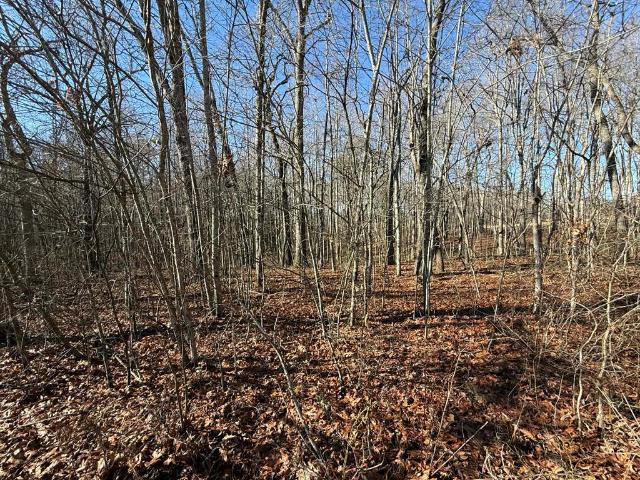 Lot 14 Georgee Rd