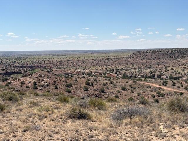 Lot 14, Hyline Place, NM 88119