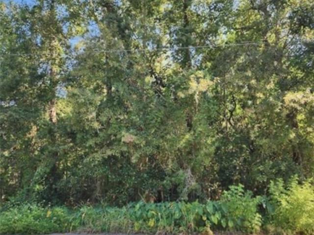 Lot 14 Jefferson Avenue