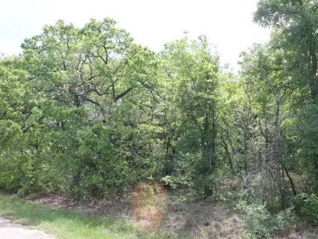 Lot 14 Jim Walters Dr, Runaway Bay, TX 76426