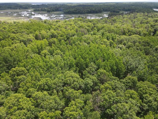 LOT 14 Loon Lake Road