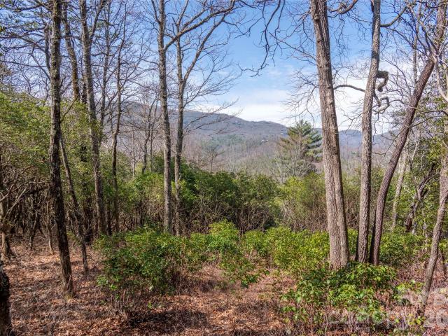 Lot 14 Lakeside Dr Lake, Toxaway, NC 28747 | MLS #4360 | Compass