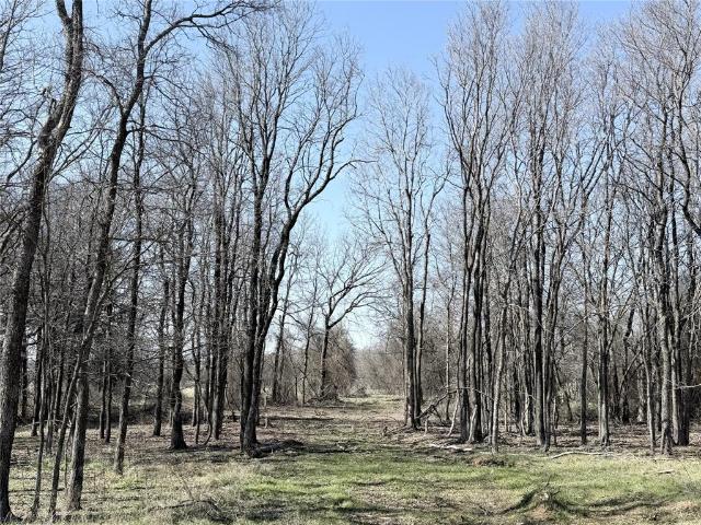 Lot 14 Lakewood Dr, Whitney, TX 76692 | MLS #21185