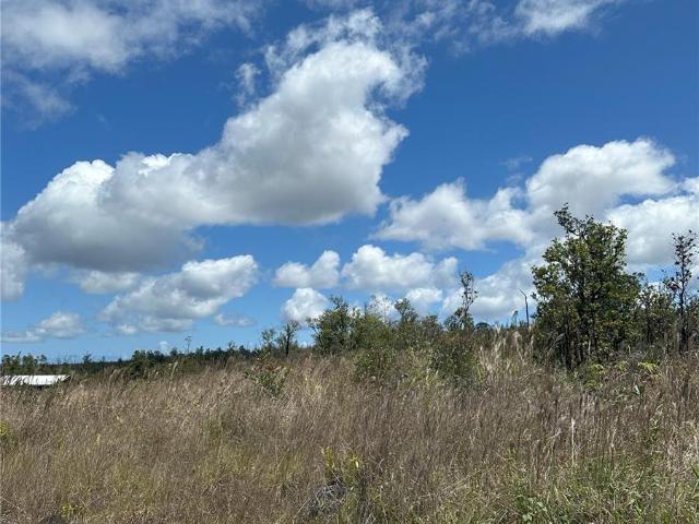 Lot 14 Leila Rd, Mountain View, HI 96771 | MLS #202607