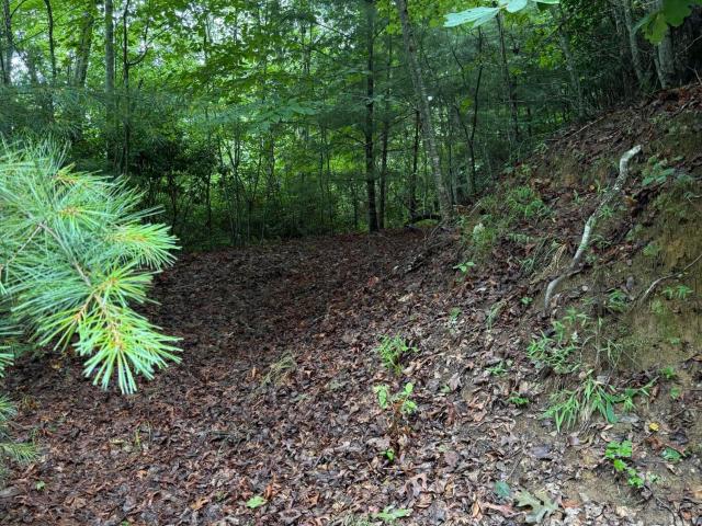 Lot 14 Mountain Vista Lane # 14