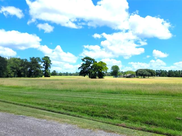 Lot 14 Montgomery Way