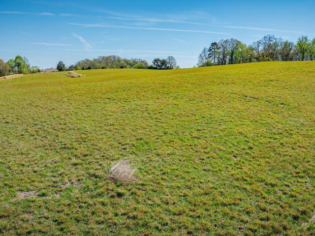 Lot 14 Morgan Road