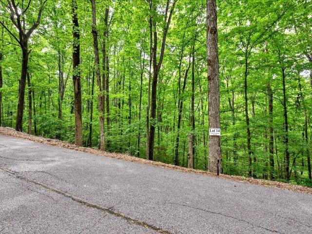 Lot 14 Mill Creek Rd